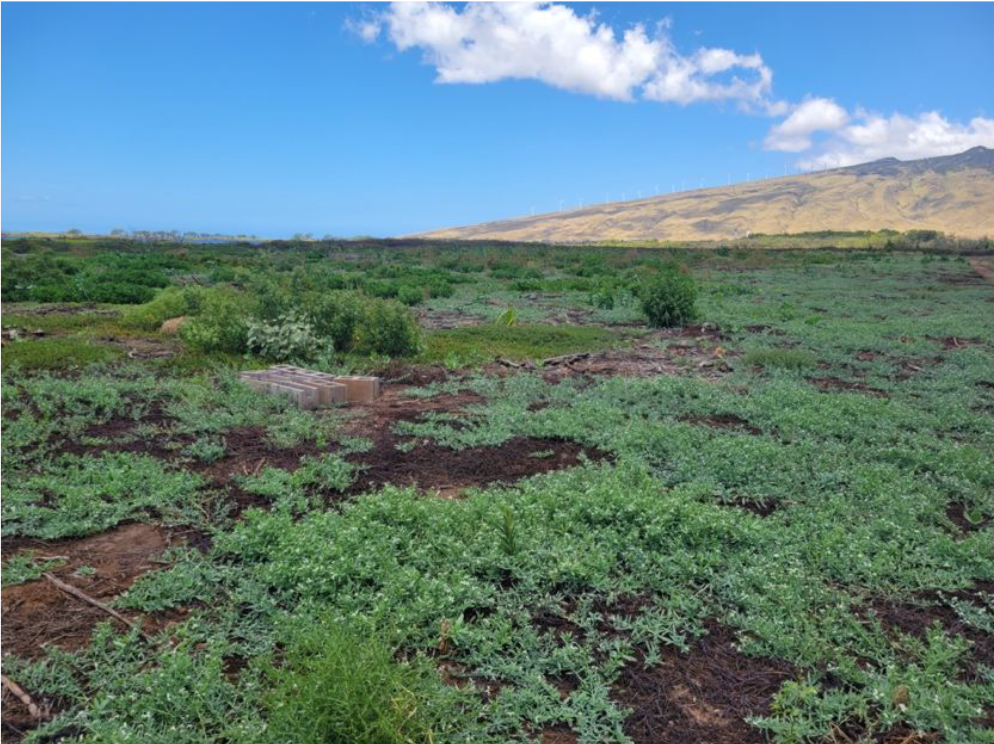 Reef Friendly Landscaping Comes to Kealia Pond National Wildlife Refuge ...