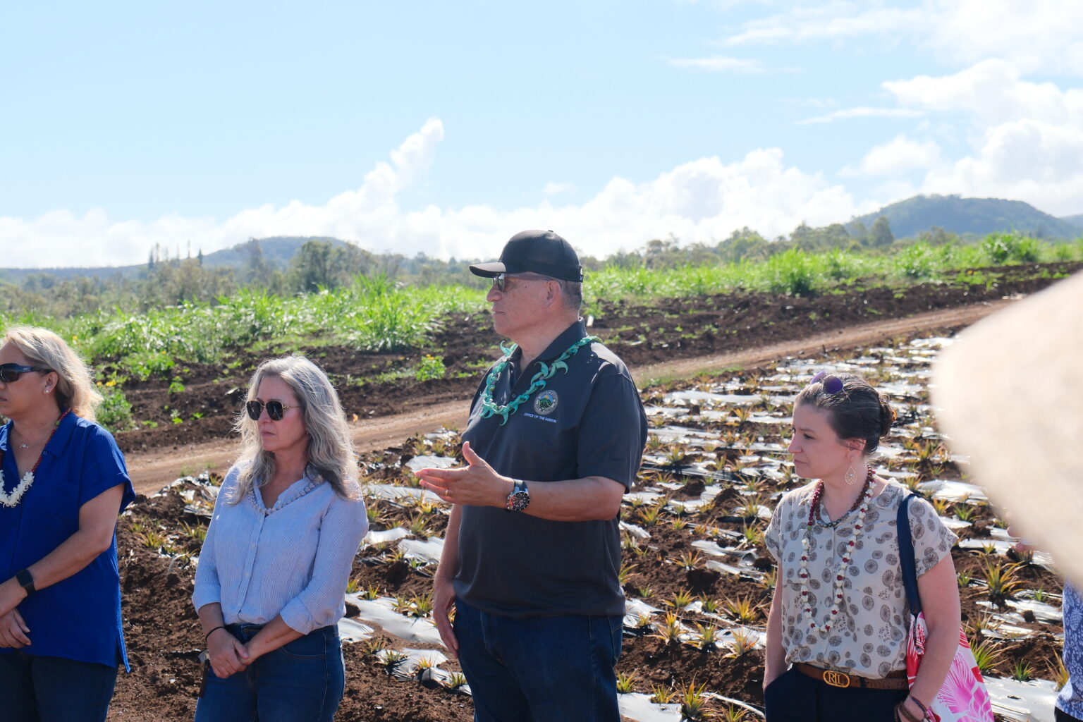 Maui's Historic Pineapple Farm Launches Reef-Friendly Landscaping Test ...