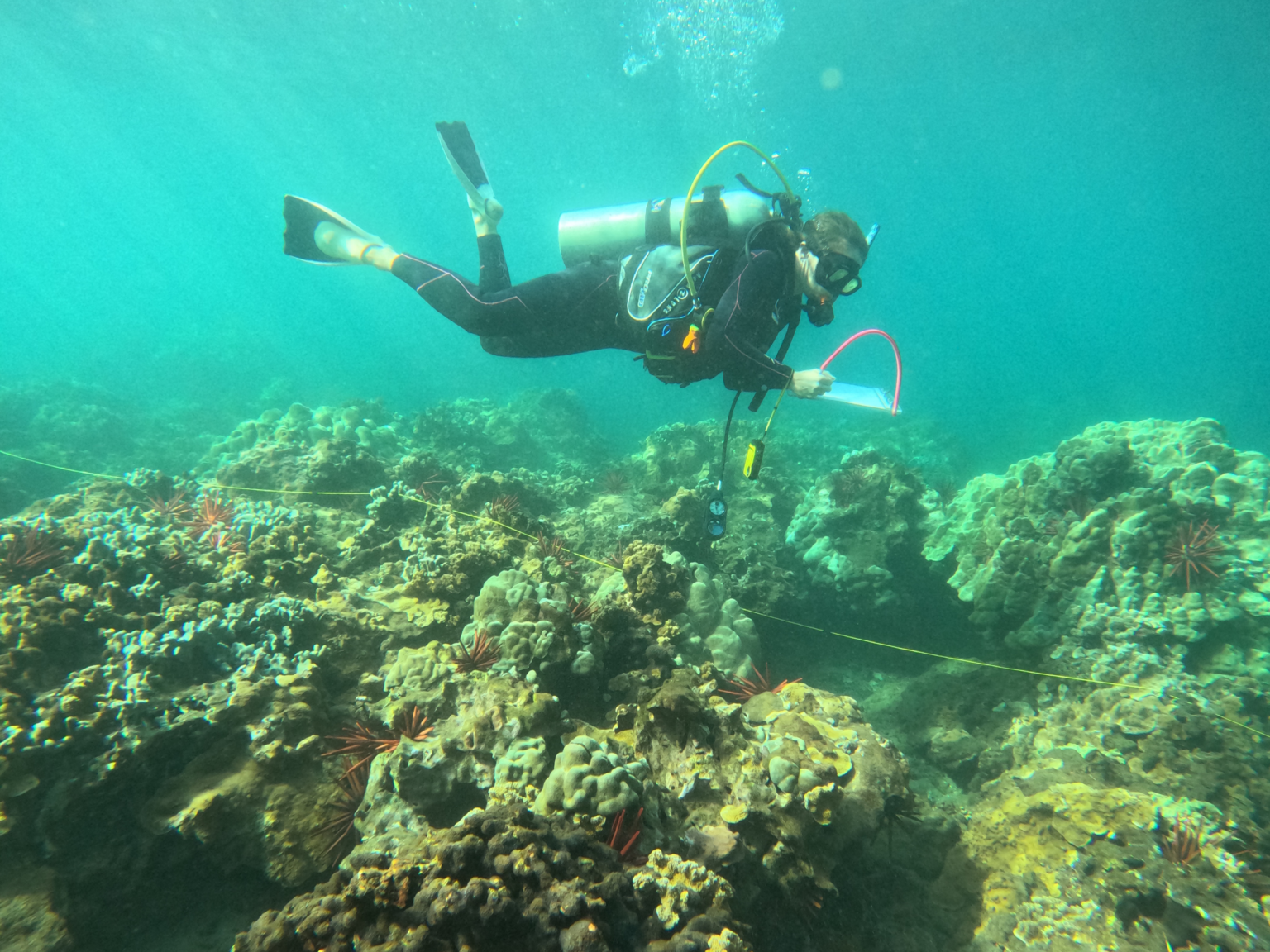 Help Protect Maui's Reefs - Maui Nui Marine Resource Council