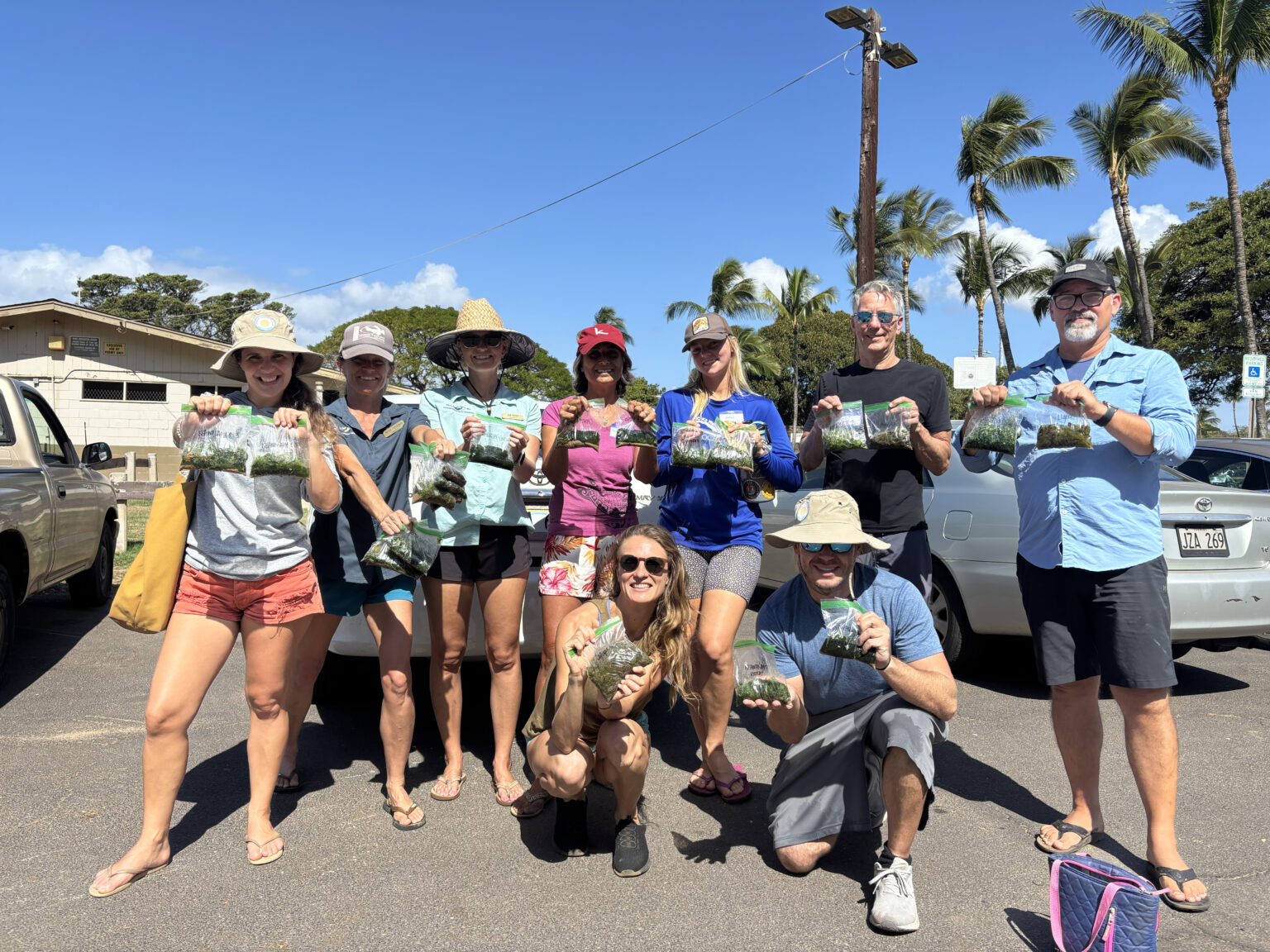 Volunteer Day: Limu Sampling in North/West Maui - Maui Nui Marine ...