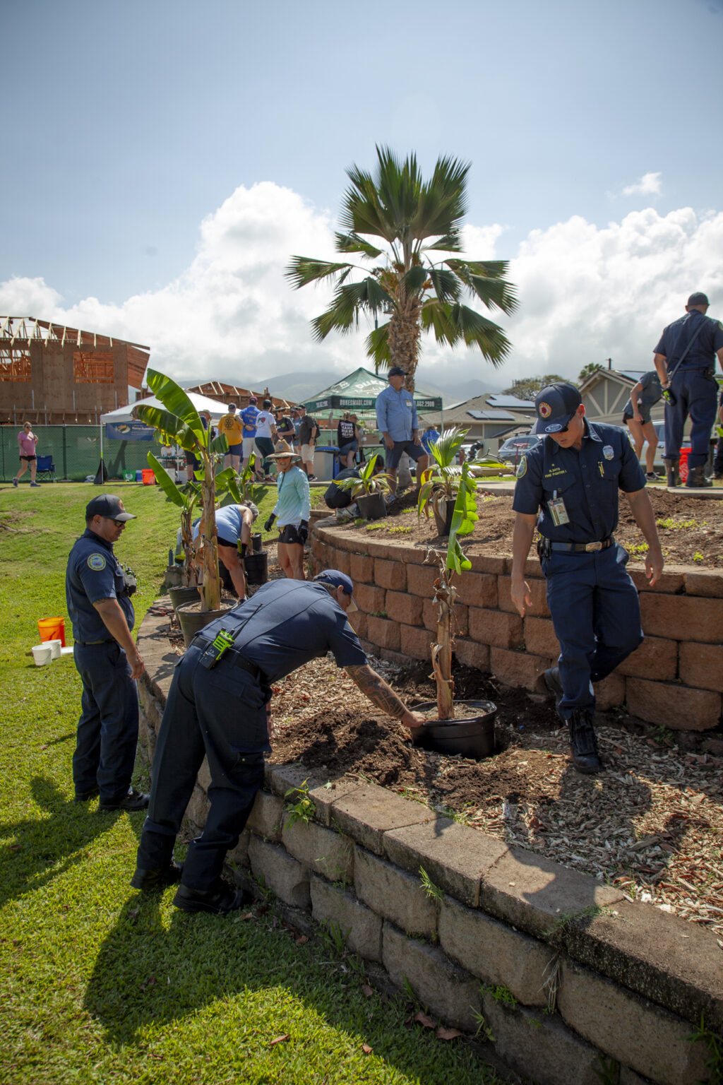 Replanting at Kahoma Village to support Lahaina recovery, growth ...